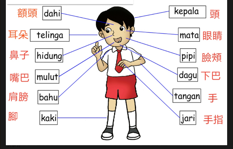 Mengenal Angka Dalam Bahasa Taiyu Hokkien Belajar Man - vrogue.co Mengenal Angka Dalam Bahasa Taiyu Hokkien Belajar Man - vrogue.co