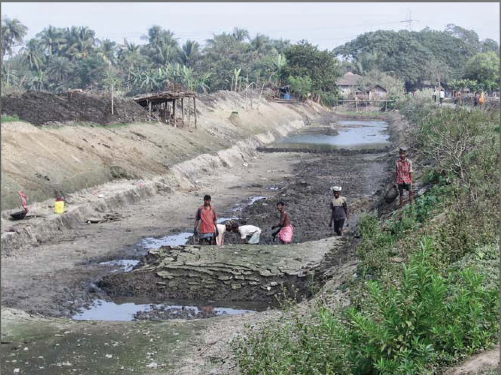 .: Wetland Preservation