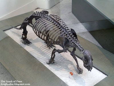 American Museum of Natural History - Primitive Mammals | The Track of Time