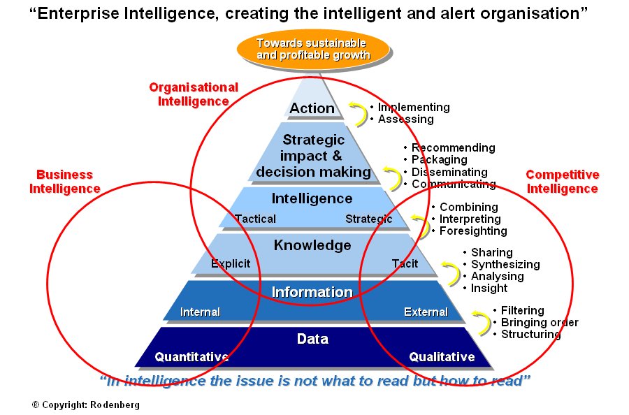 quistig over bi: Business Intelligence in 7 modellen
