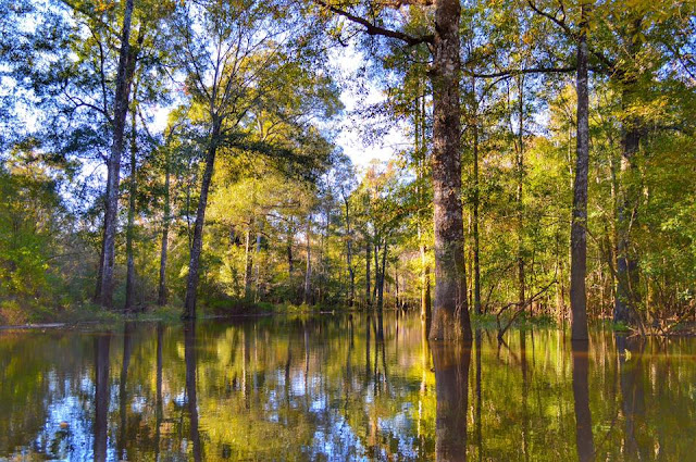 Kints: The Unfathomed: Big Swamp and Big Lake, 22 November 2015