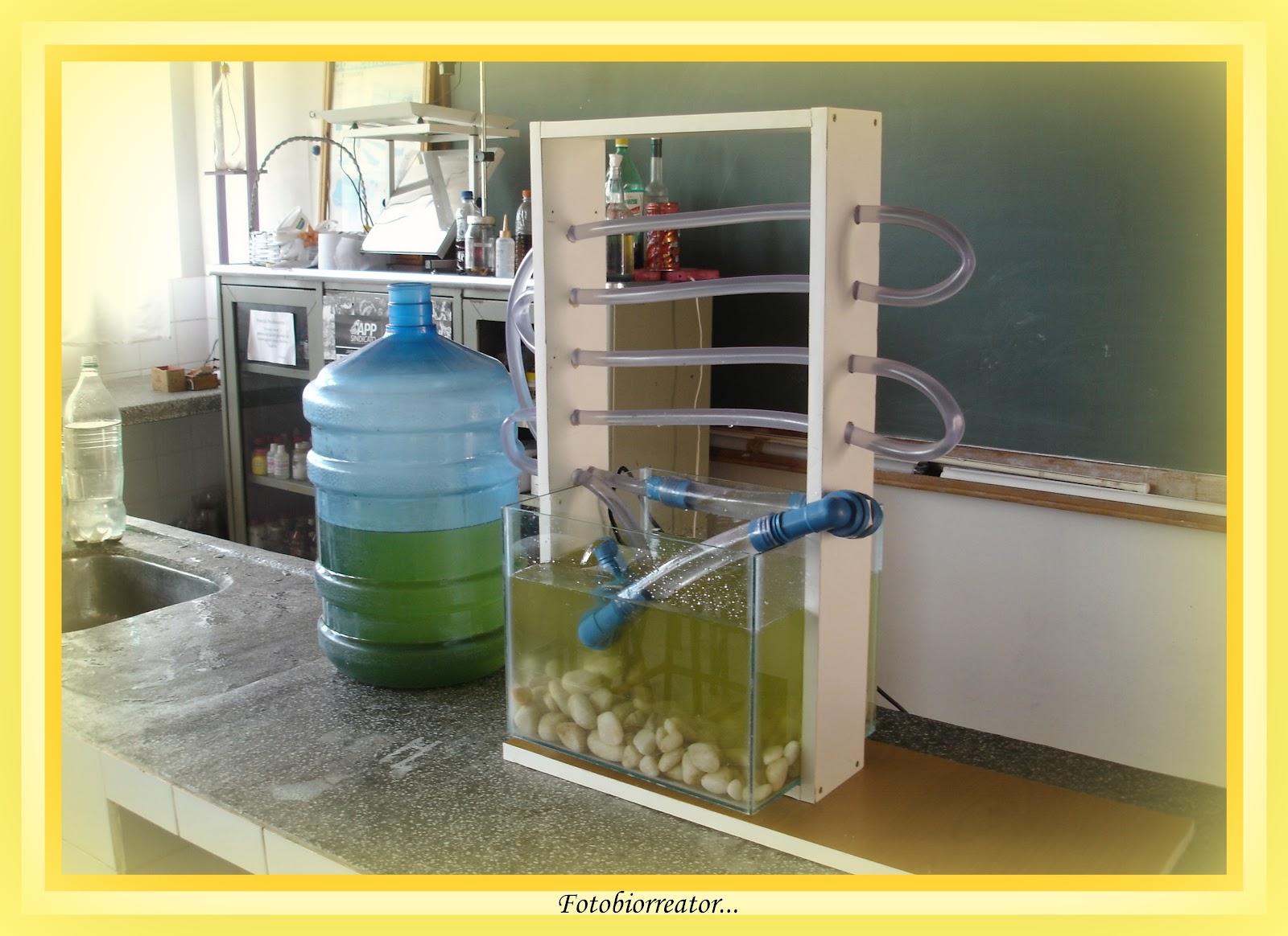 Cultivo de Microalgas em Fotobiorreatores: Fotobiorreator...