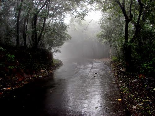 TMI: Bike Ride to Bhimashankar, Ahupe Ghat, Malshej on 11th - 12th Oct ...