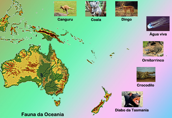 FAUNA DA OCEANIA
