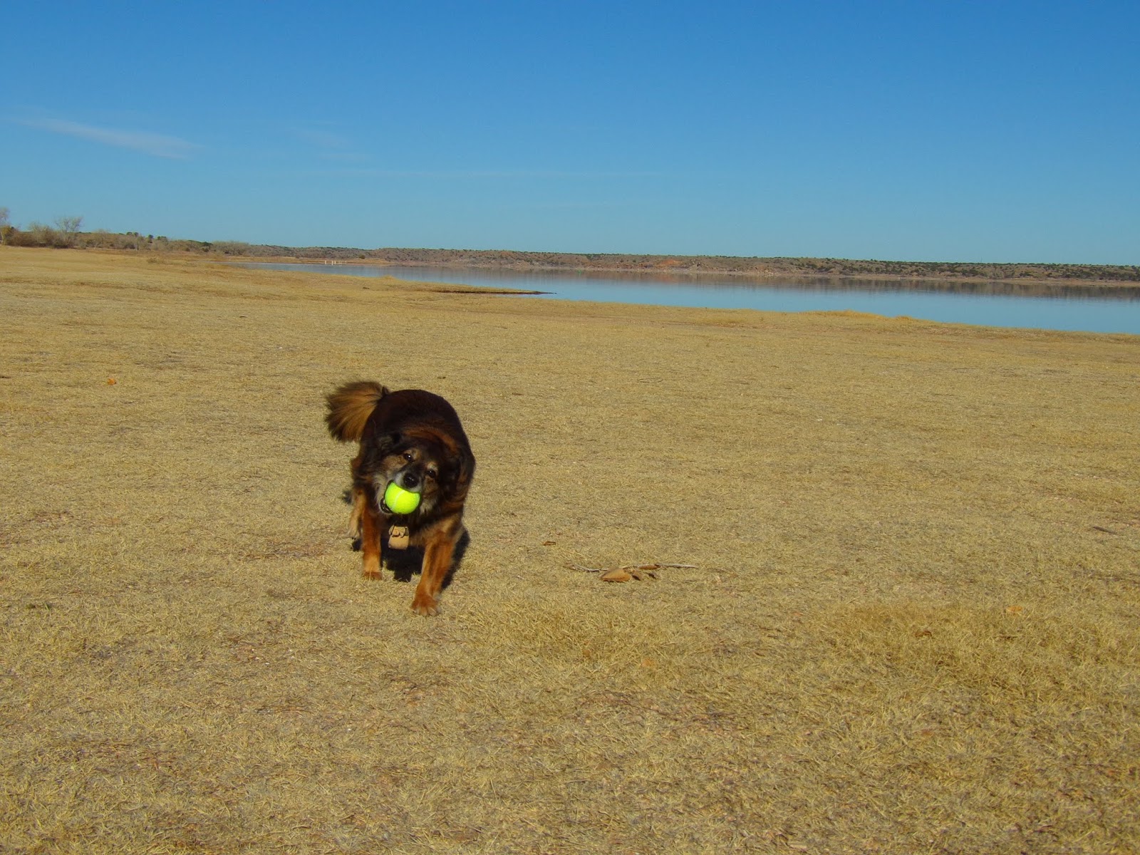 Sumner Lake State Park, Fort Sumner, New Mexico