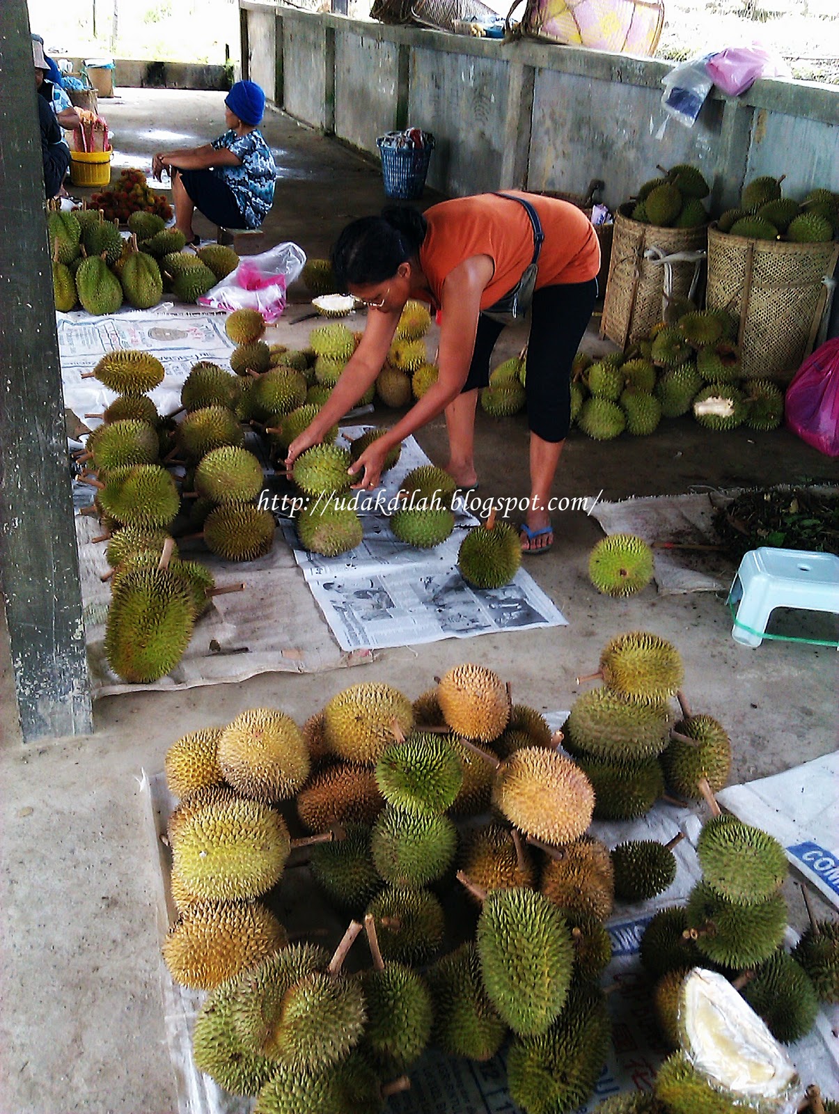 BeLoyaR Bersama Udak Dilah: DURIAN ~ Raja Buah di Beluru