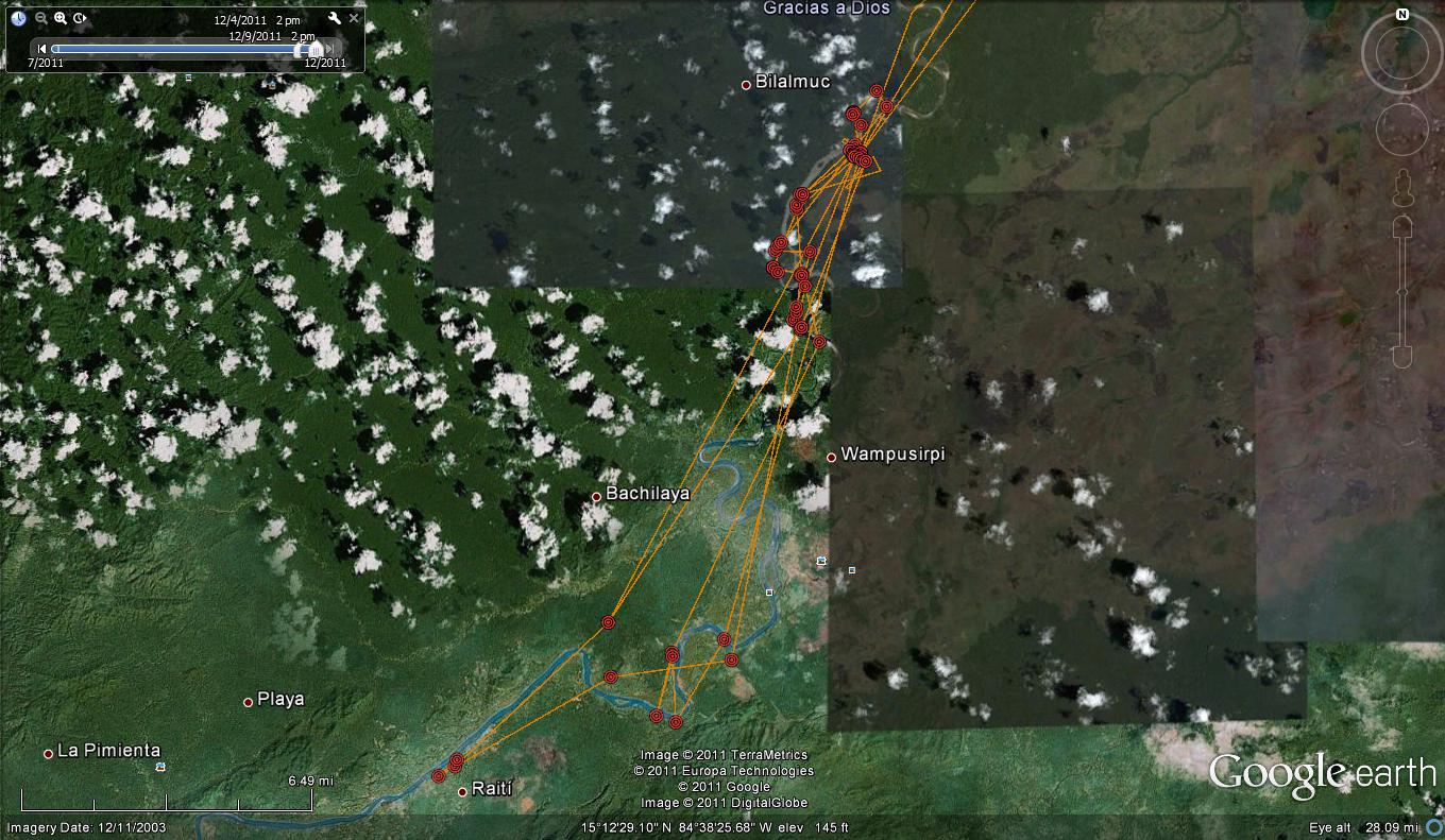 Wings to Soar: Lookout on the Rio Patuca and just little more inland