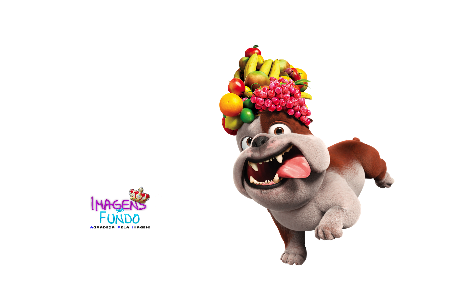 Rio - Filme 1 - Cia dos Gifs