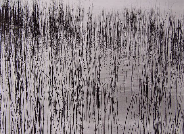 The Compass Rose: Callahan