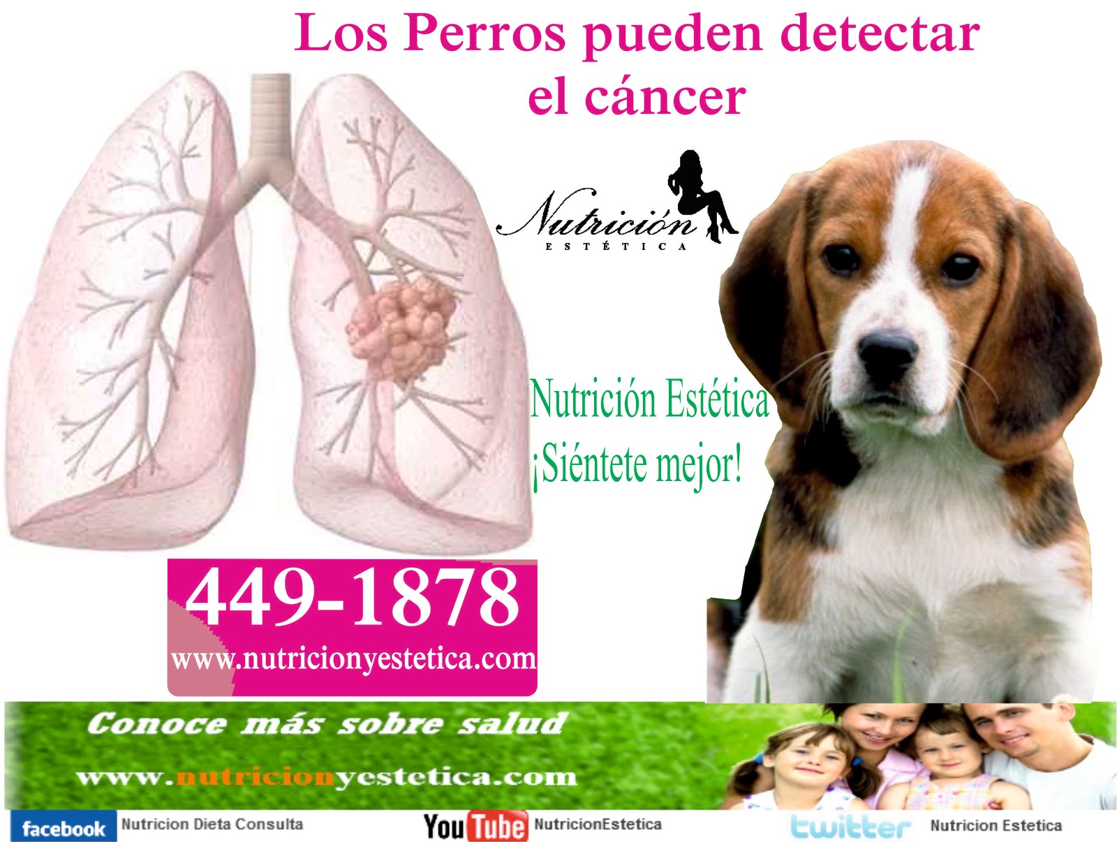 Nutricion Estetica: Los Perros pueden detectar el Cáncer