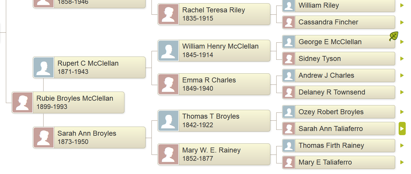 A Family Tapestry: Time to Check the Scorecard