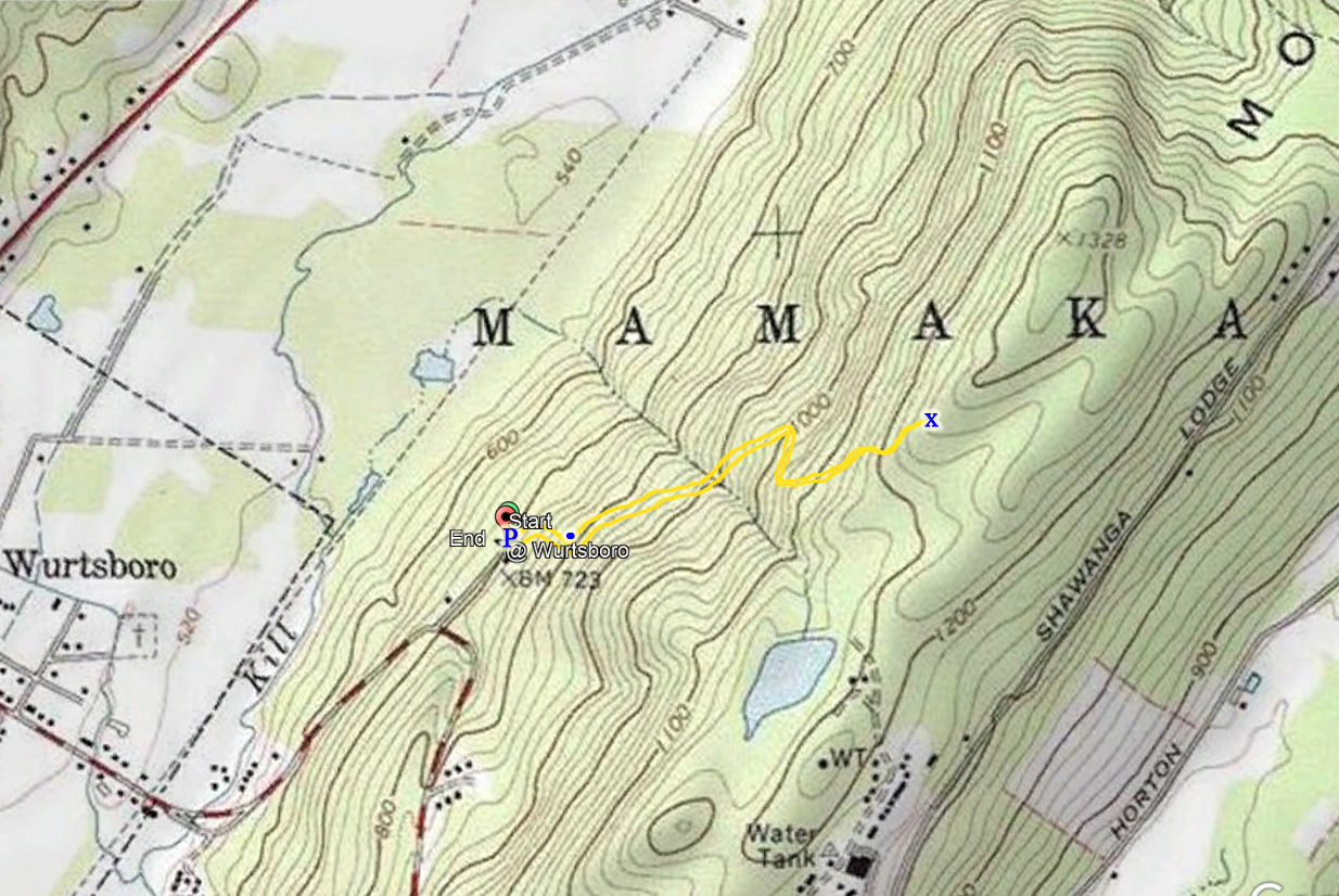 Harriman Hiker: Harriman State Park and Beyond: Wurtsboro Ridge State ...