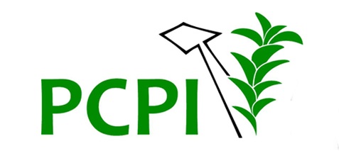 elorientablog: "Adolescentes sin título de ESO y sin retorno". PCPI ...