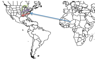 Musical Links Exploration: Flamenco Music and Duke Ellington's Jazz