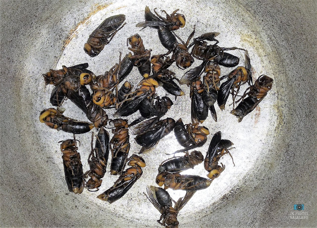 Some Naga food items one would normally see at local markets in ...