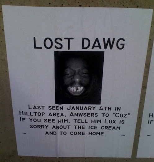 Idiot Ballroom: Lost Dawg