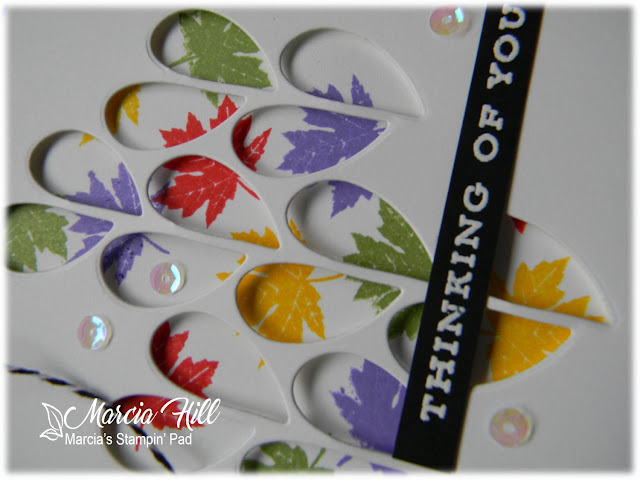 Marcia's Stampin' Pad: Color Throwdown Challenge #508