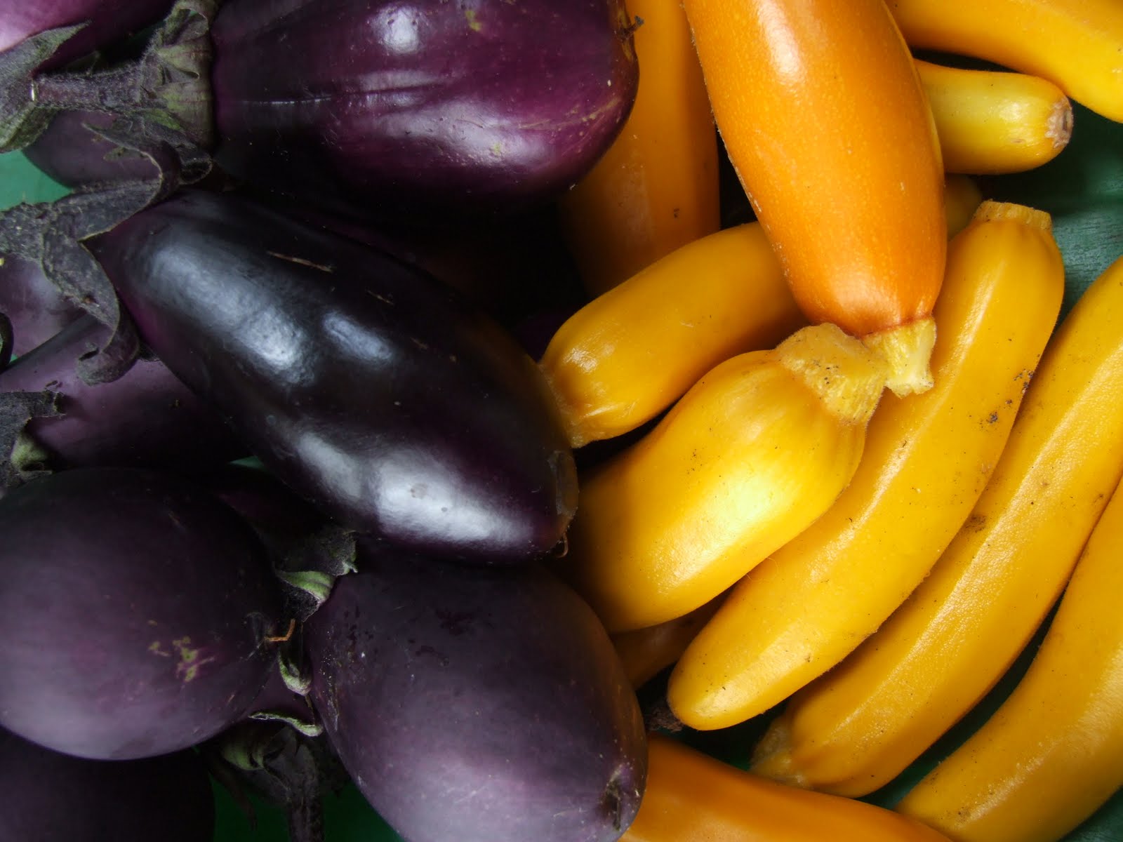 Linda Kemshall: September 2011