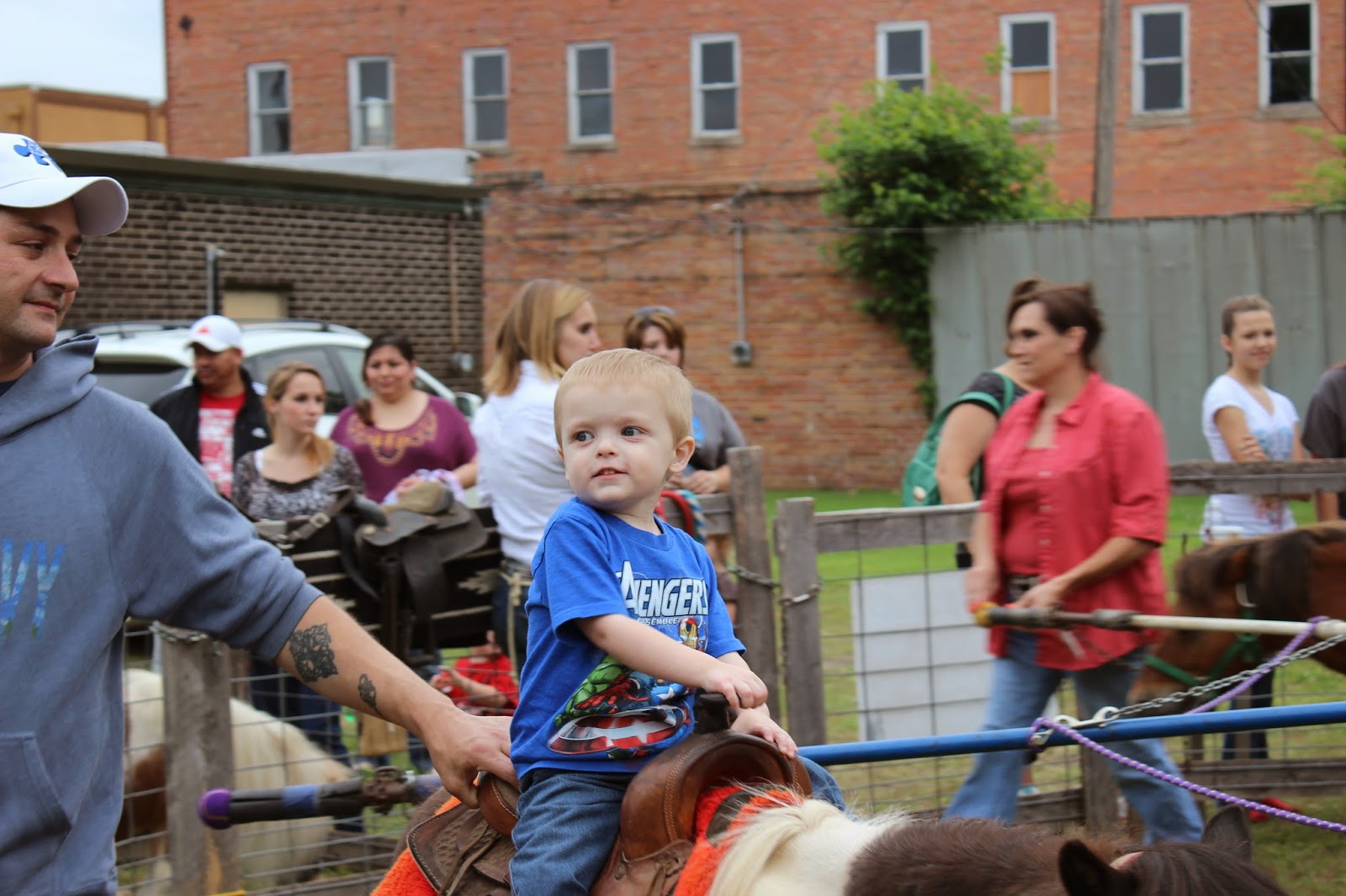 Natural Beautism and Flappings in Life: Atkins Pickle Fest 2014
