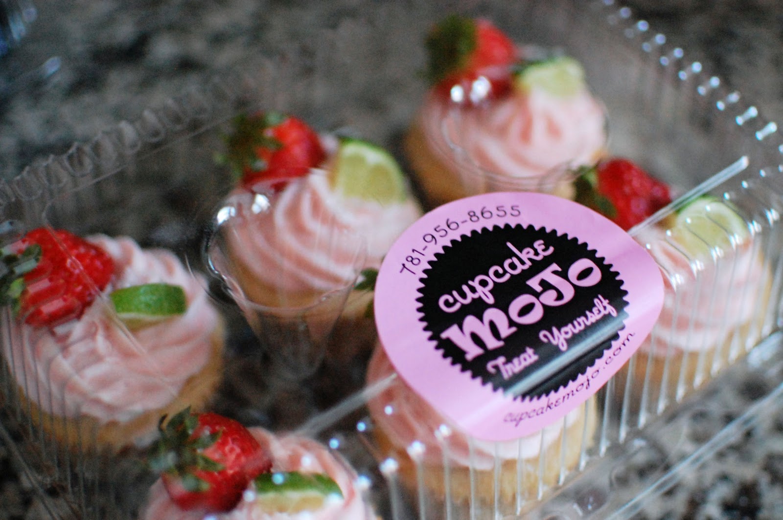 Cupcake Camp Boston: Meet the Bakers: Cupcake Mojo