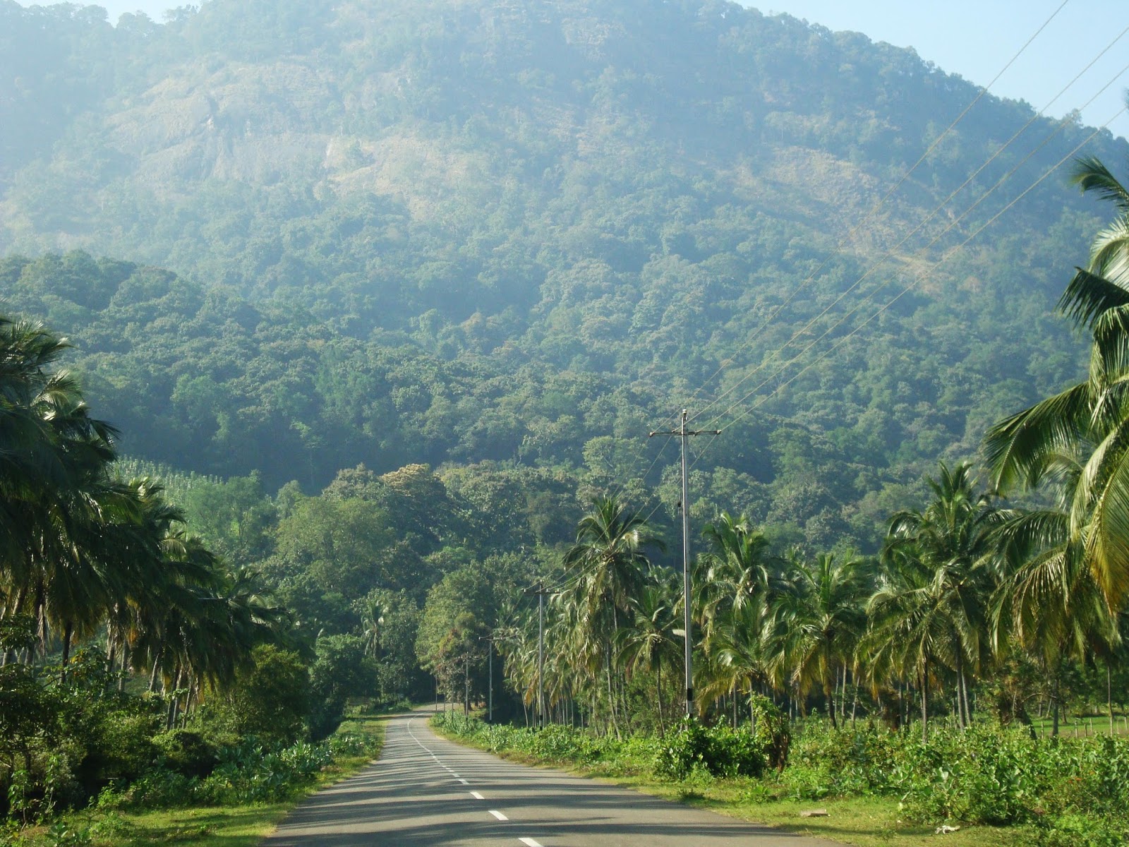 Tamilnadu Tourism: Nemmara, Nelliyampathy