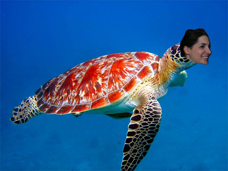 Hairy Business: TURTLE PEOPLE