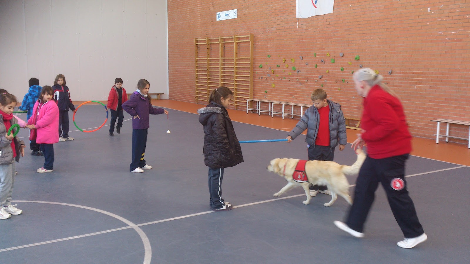 Mil recursos: TERAPIA CON PERROS