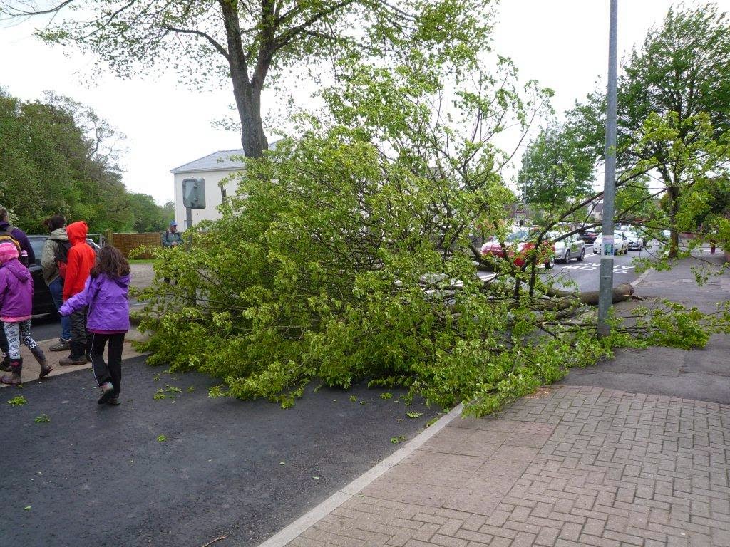 Friends of Nant Fawr Community Woodlands: Walks (N.B. see download on ...