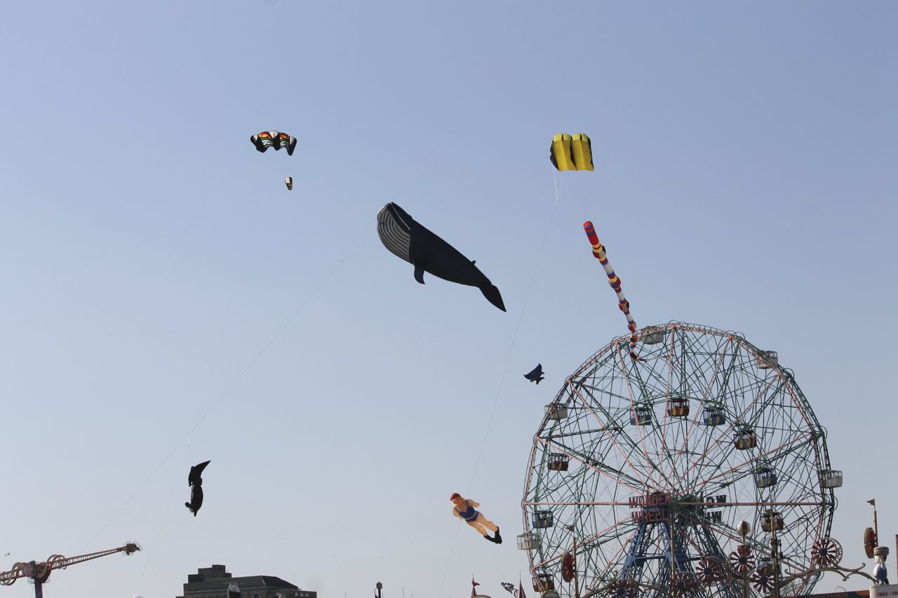 City Lawns and Island Kites: Scenes from a Pair of Walks in Brooklyn
