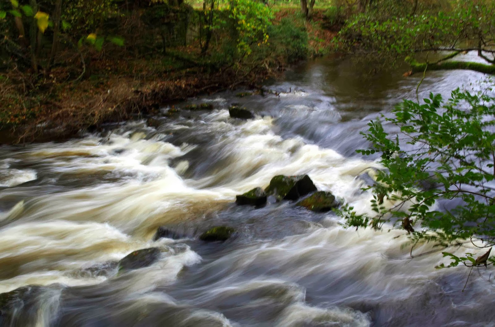 Out & About: Calver Mill and Weir