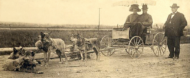 Terrierman's Daily Dose: "Professor" Damrel's Wolf Cart