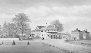 Researching Food History : Seckel or Seckle Pears originally from ...