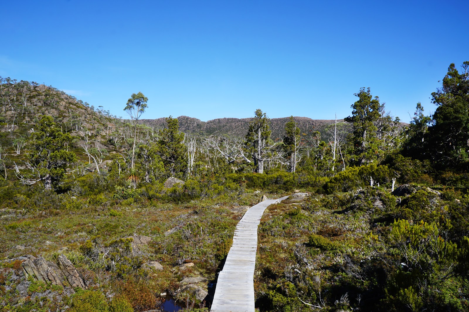 Tarn Shelf Circuit (Mount Field National Park) ~ The Long Way's Better