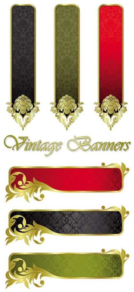 Stock vector - Classical Gorgeous Banner Template - Adobe Plus