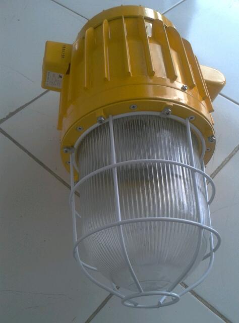 Warom Explosion Proof Electrical: Jual Lampu Gantung Explosion Proof ...