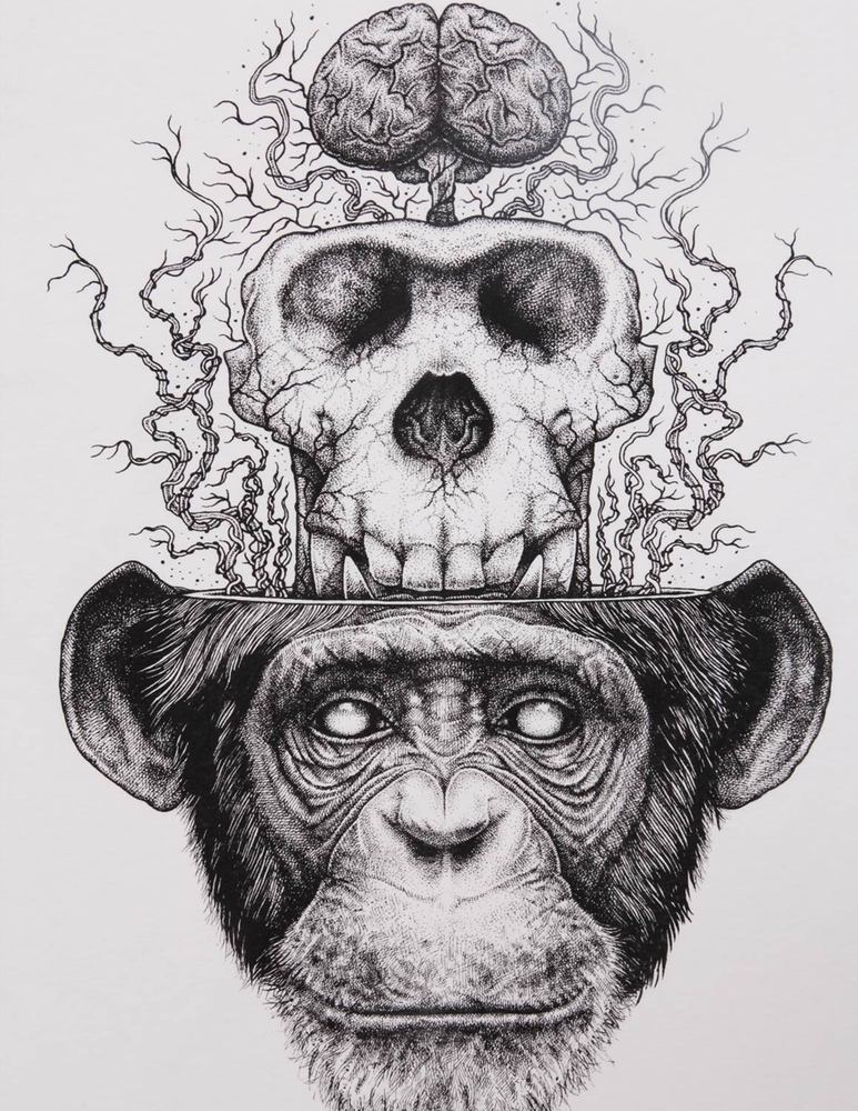 The Monkey Buddha: 'Chimp Skull Extraction' by Paul Jackson