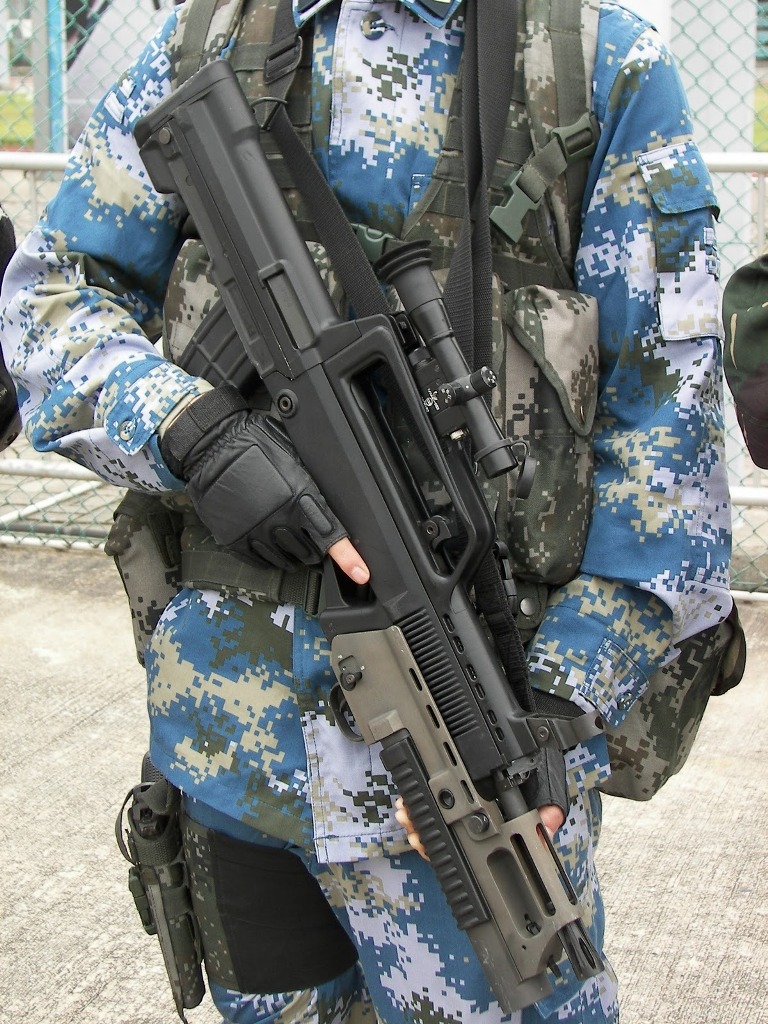 Qbz 95 1 Assault Rifle