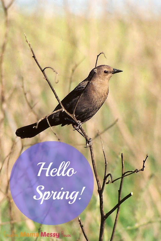 Creative Mama, Messy House: Happy Spring! My favorite sights, sounds ...