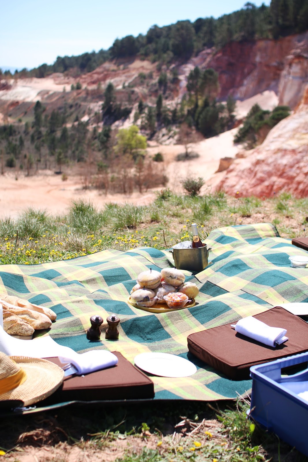 Poolside, Picnics and Strawberry Festivals - Inthefrow