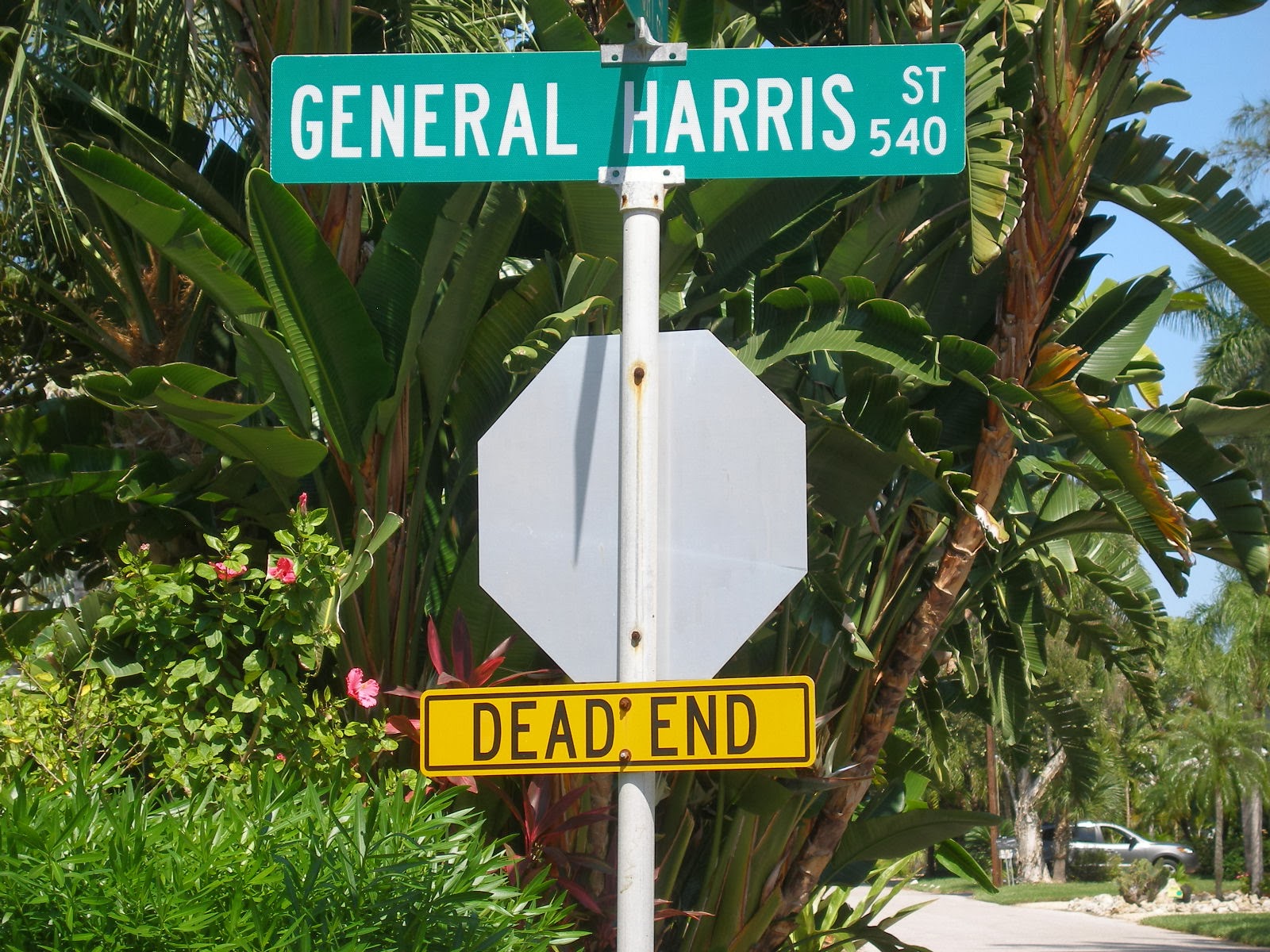 Report from the Florida Zone: Dead End