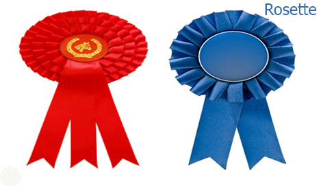 Jewelry Names List & Ornaments Name with Images | Necessary Vocabulary ...