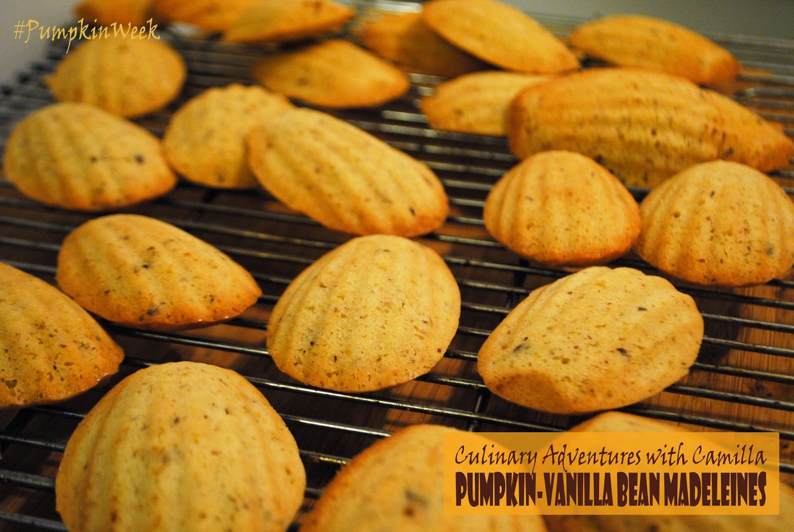 Pumpkin-Vanilla Bean Madeleines for #PumpkinWeek