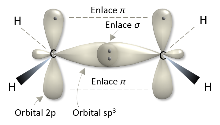 Unidad 2 – TIC – PROLIPA