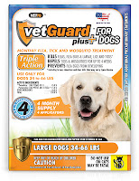 The Utter Nightmare Of Flea Infestation