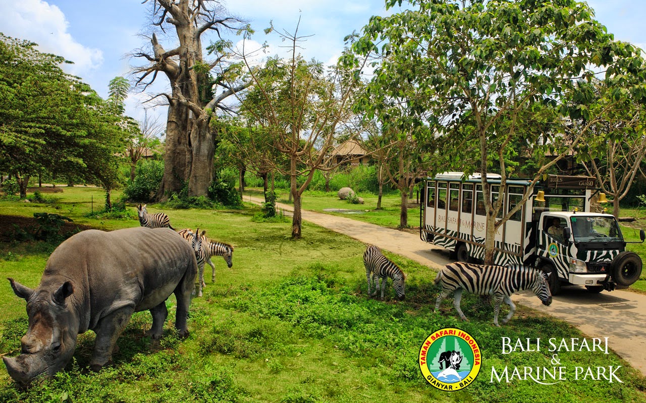 Bali Safari Marine Park Tour | Nur Bali Travel
