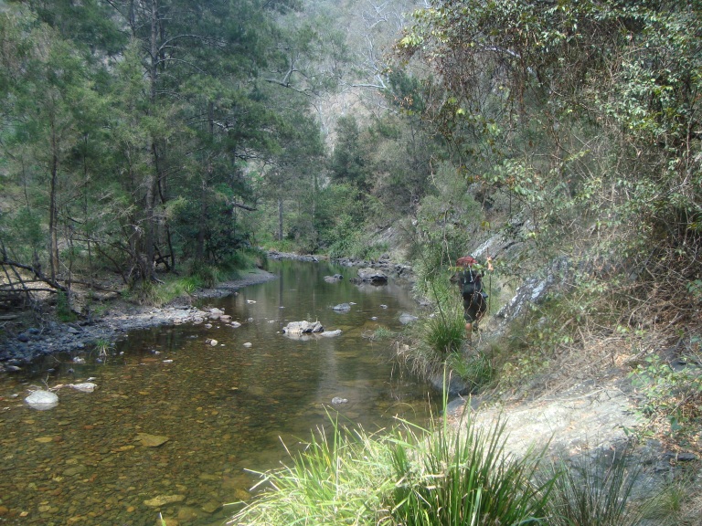 Simon's Blog: Green Gully Track Hike