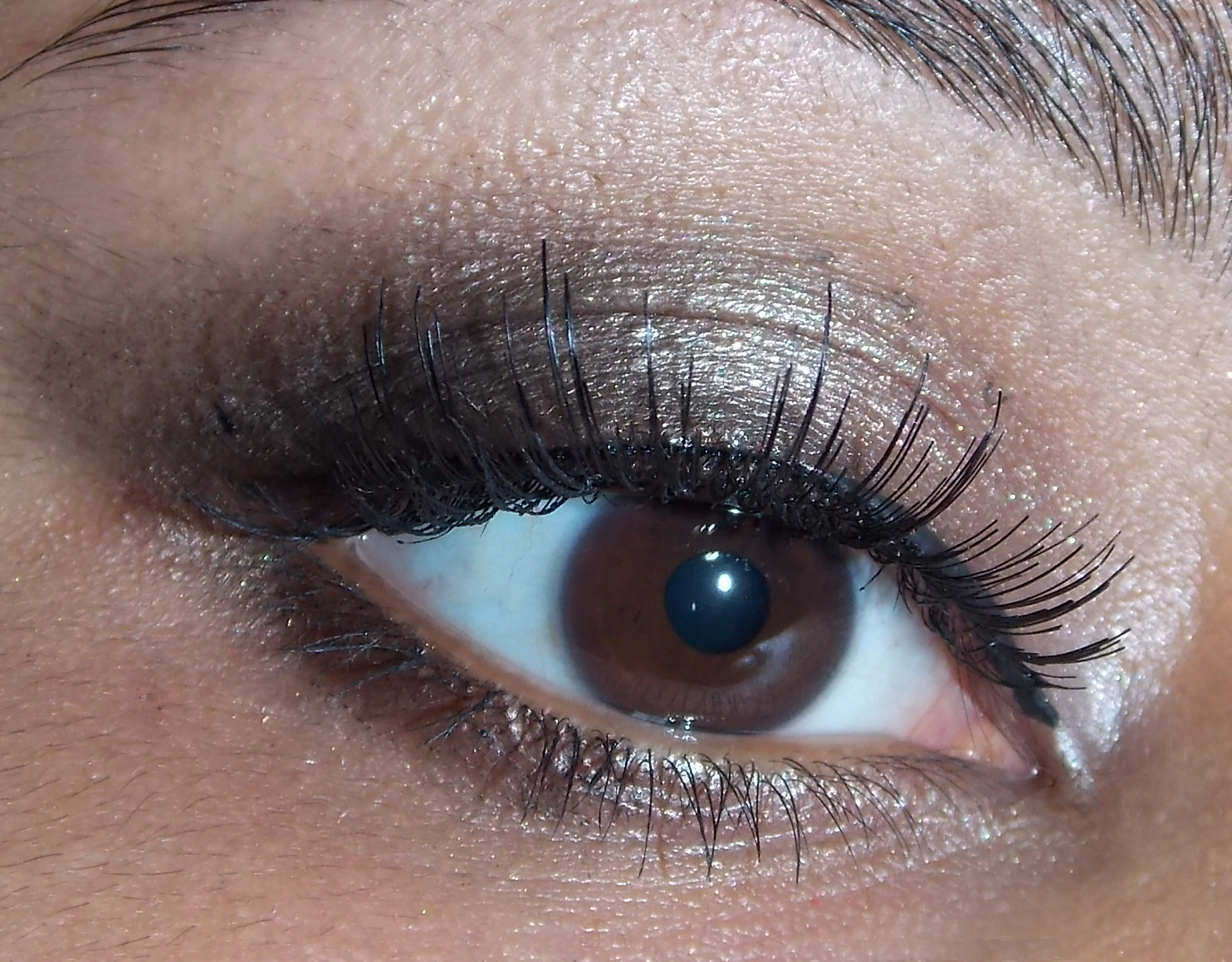 The Beauty and the Cheap: Quick and Easy Neutral to Colour Makeup Tutorial