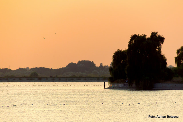 Poveştile mele: Locuri de vizitat in Bucuresti – Lacul Morii si ...