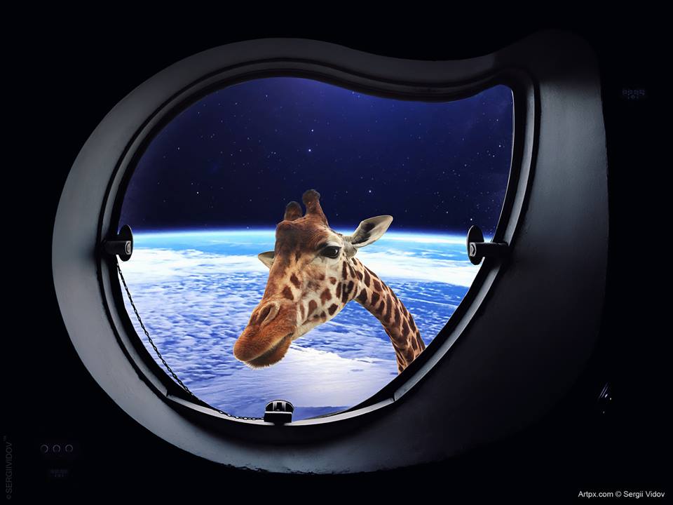 Zvezdani(n) dnevnik: Goodbye, Belgrade......Hallo Rodos...