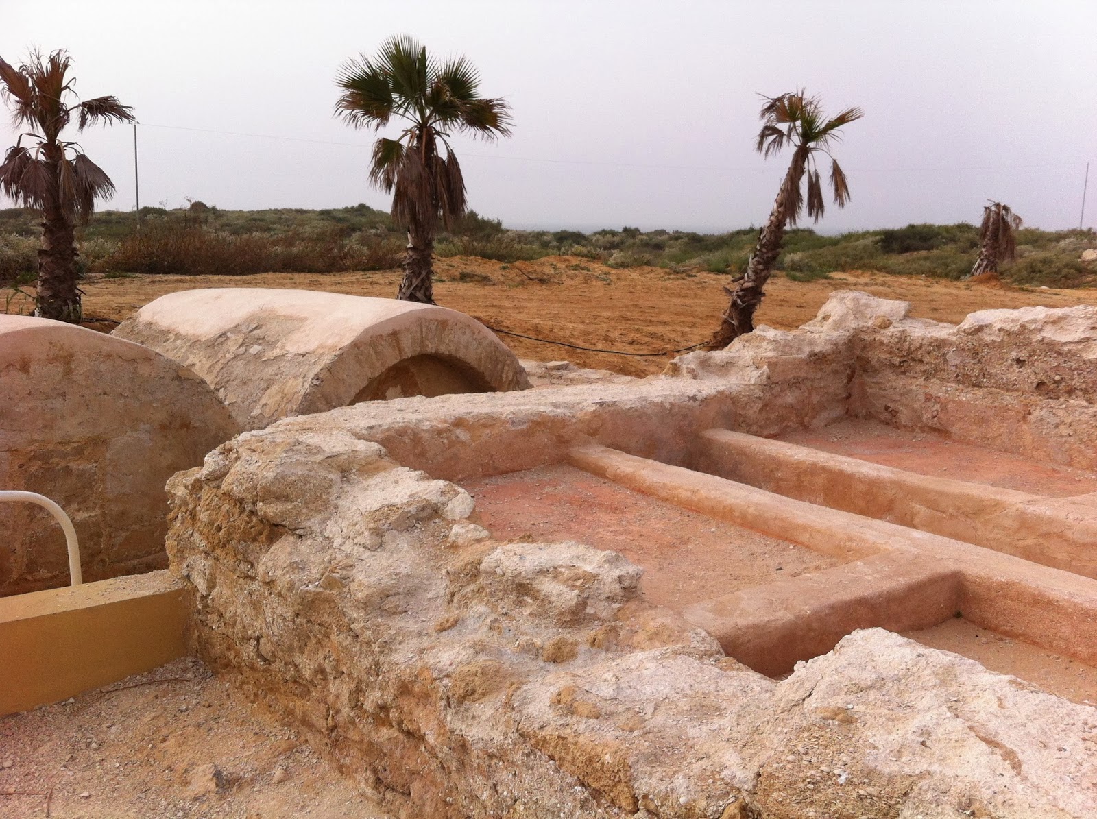 Paseando por Israel: Azotus Paralius: brevísimo resumen histórico de Ashdod